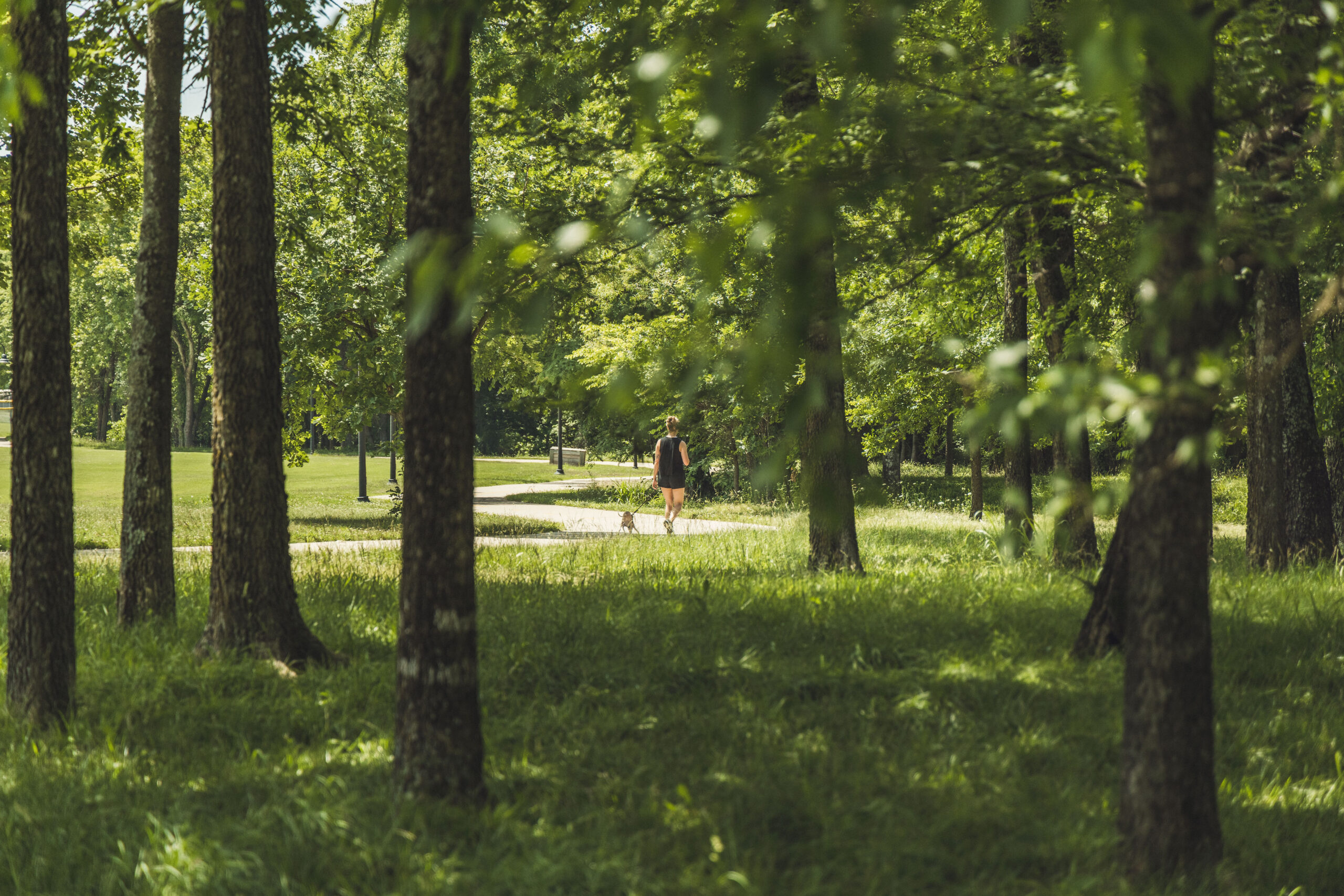 What’s Coming in 2022 for Razorback Greenway | Razorback Greenway