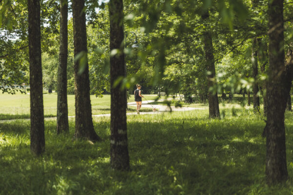 Explore | Razorback Greenway