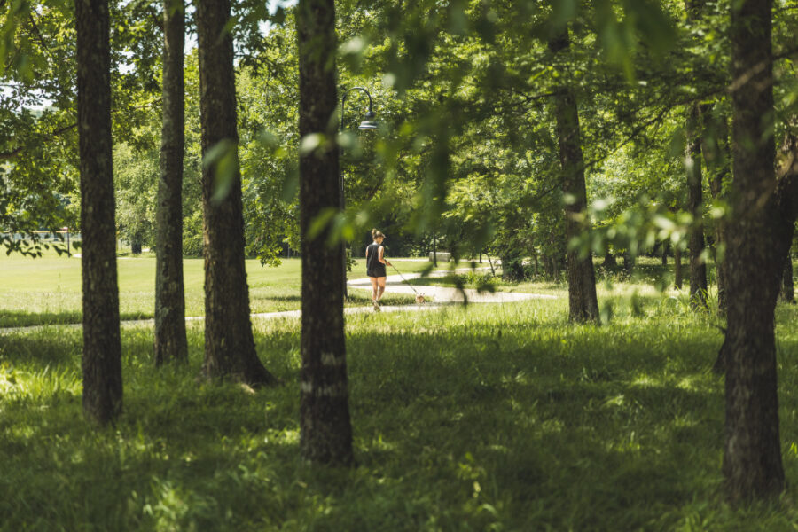 Explore | Razorback Greenway